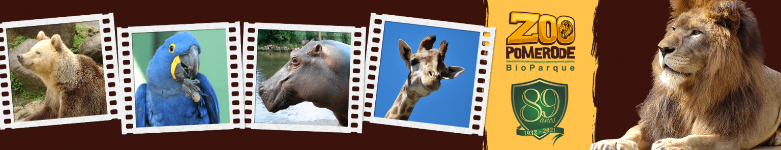 Zoo Pomerode - O Maior Zoológico de Santa Catarina - Pomerode SC